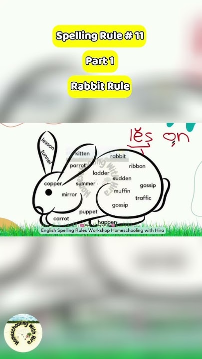 What Is the Rabbit Rule? 🐇 | Rabbit Rule Part 1 | English Spelling ...