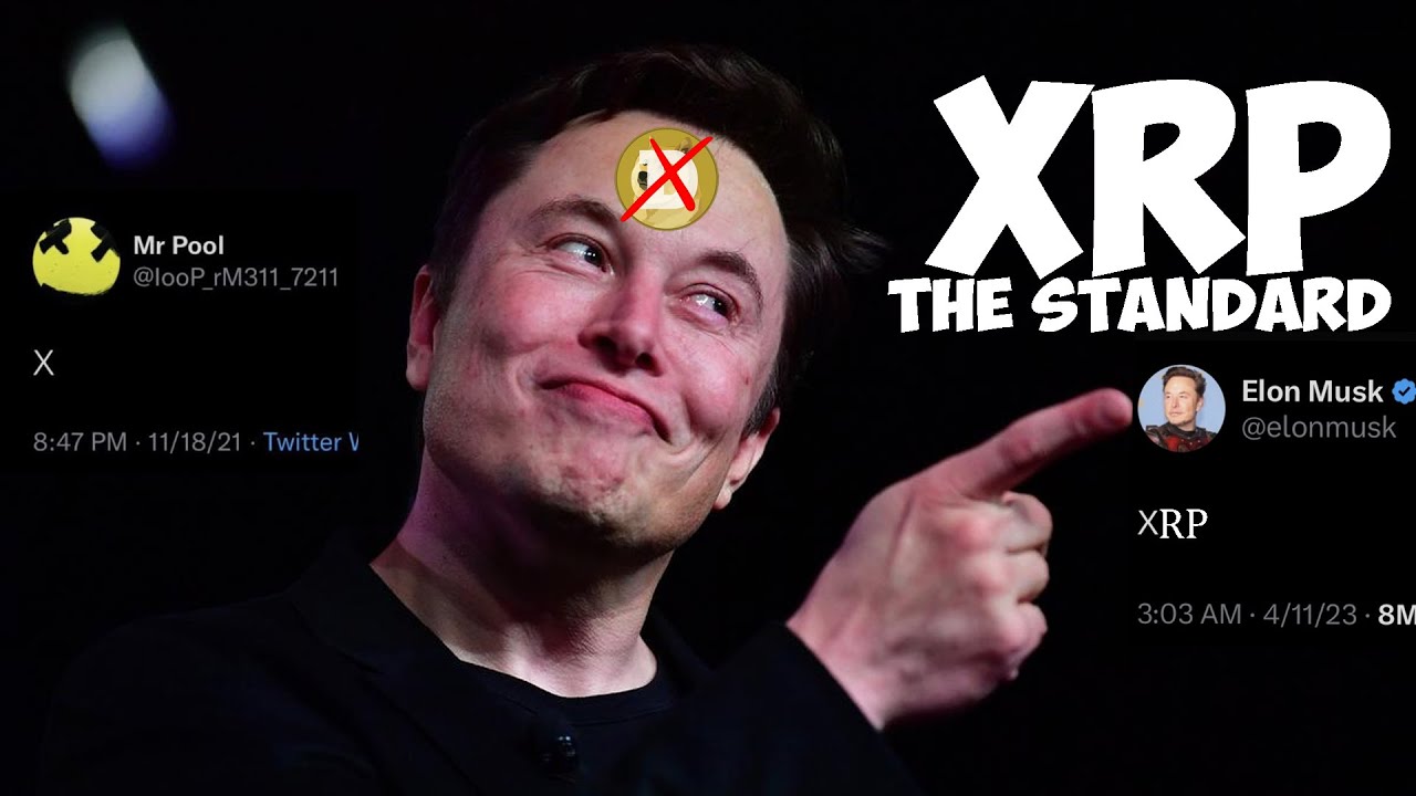Ripple XRP ELON MUSK LITERALLY JUST CONFIRMED MR POOL & RIDDLERS I AM ...