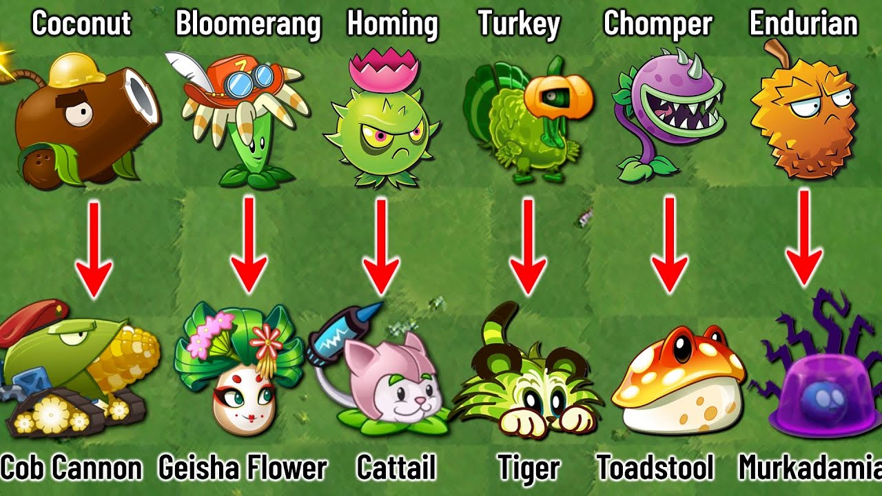 PVZ 2 Discovery - Plants Evolution WEAK - STRONG! - YouTube