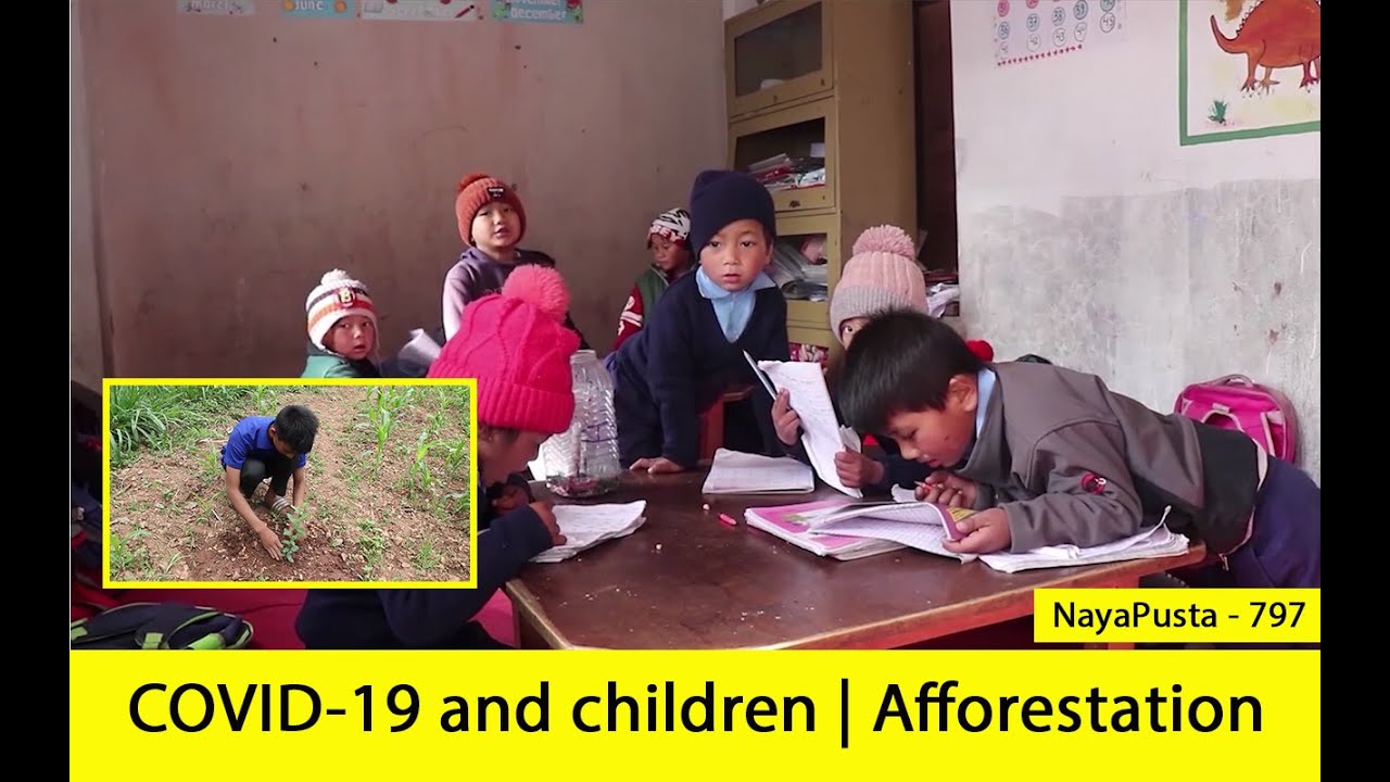 COVID-19 and children | Afforestation | NayaPusta - 797 - YouTube