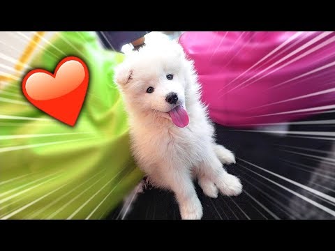 O MEU NOVO AMIGO !! ( VIDEO FOFO )