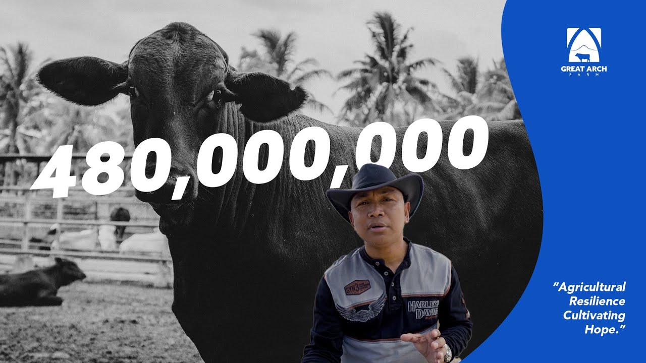 TOTAL BEEF CONSUMPTION, PRODUCTION, AND IMPORTS IN THE PHILIPPINES ...