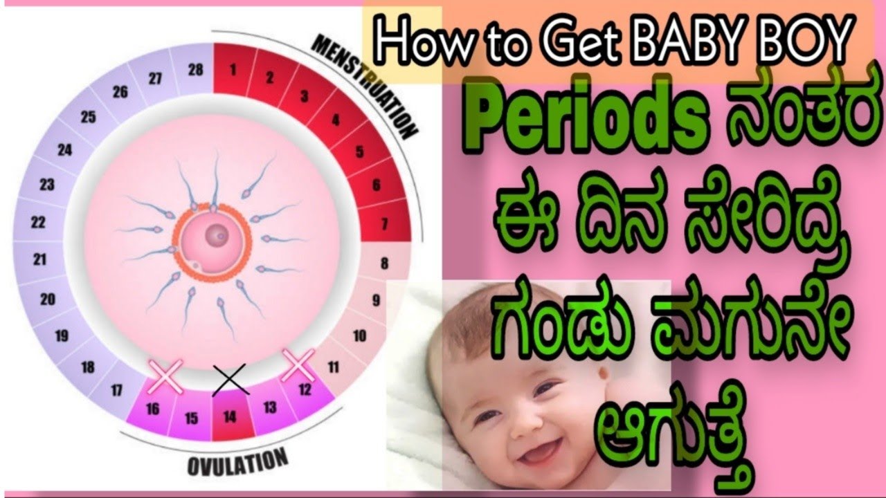 HOW TO CONCEIVE BOY BABY NATURALLY|ಈ ದಿನದಲ್ಲಿ ಗಂಡ/ಹೆಂಡತಿ ಸೇರಿದ್ರೆ ಗಂಡು ...