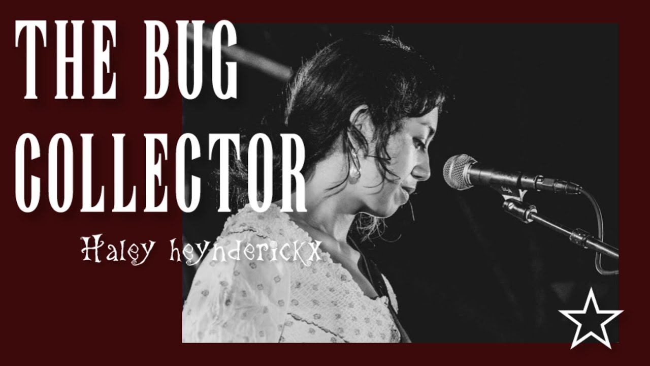 ݁₊ The Bug Collector - Haley Heynderickx شرح ␥ - YouTube