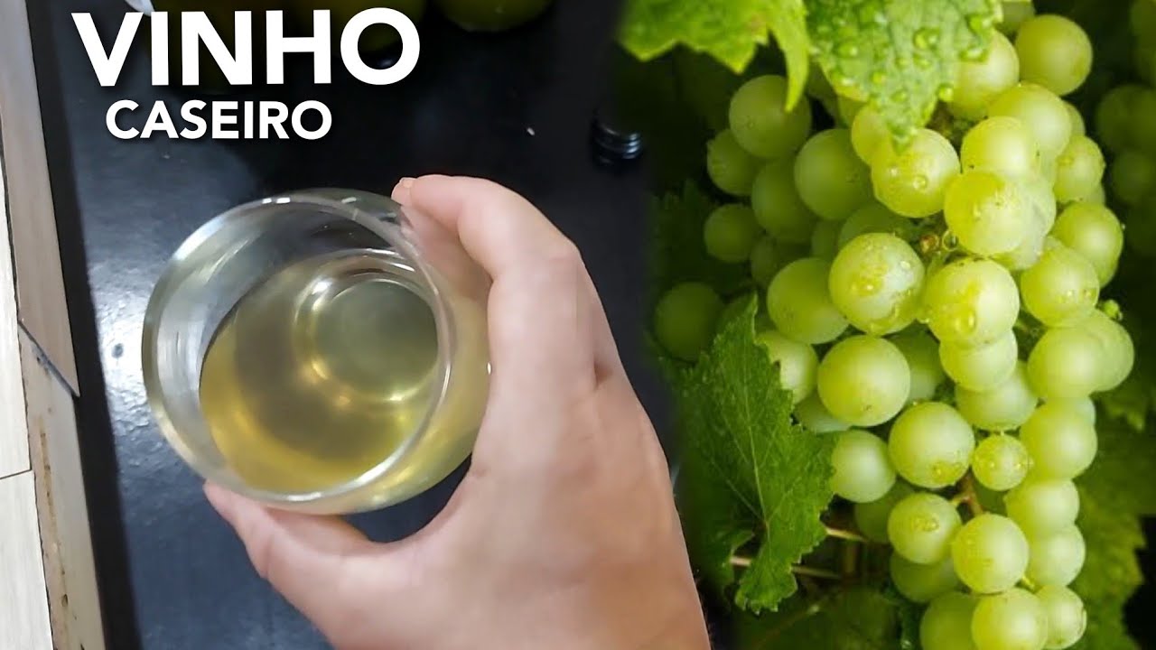 TODO O PROCESSO DE FAZER VINHO ARTESANAL CASEIRO 🍷 - YouTube