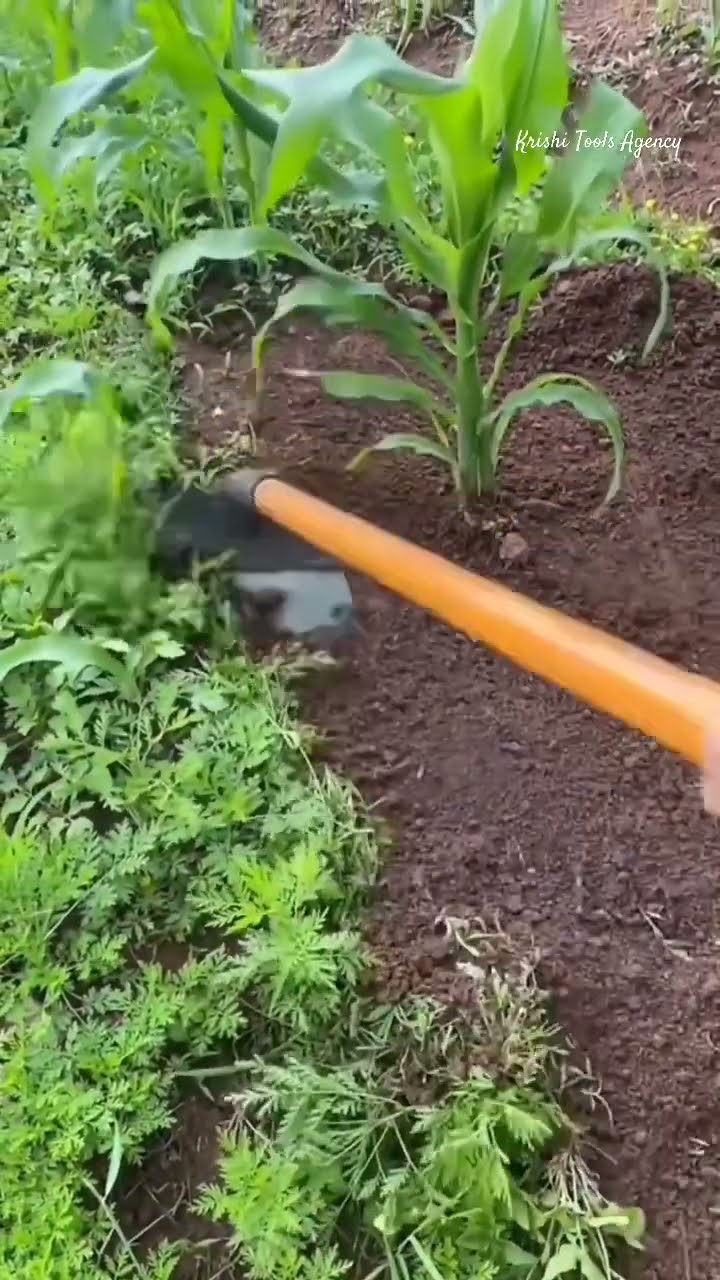 Fawda for cleaning and soil clultivation #shorts - YouTube