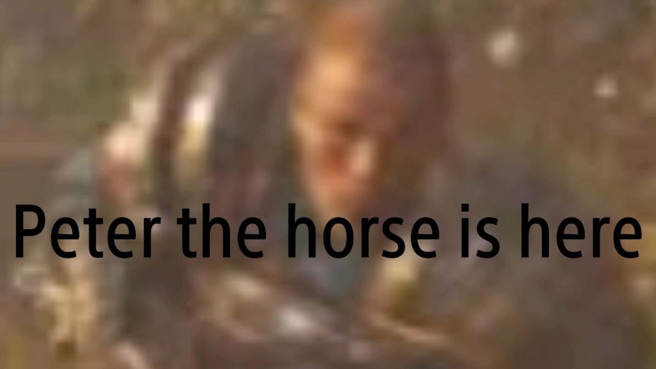 Peter the horse is here - YouTube