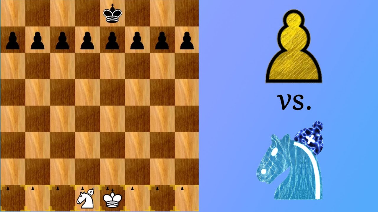 Princess - new chess piece! | Fairy chess - YouTube
