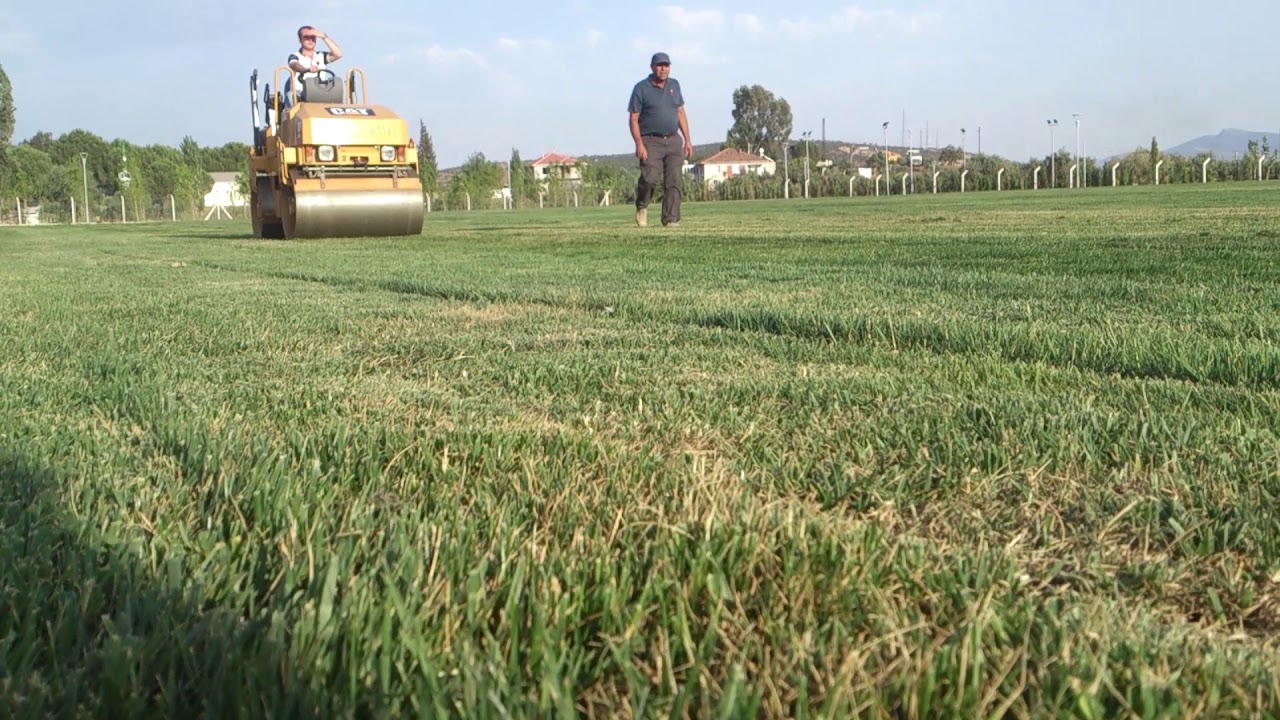 Hazır Rulo Çim Üzeri Silindir İşlemi - YouTube