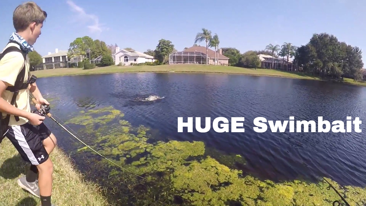Fishing Florida Ponds - Giant Bass On Huge Swimbait! - YouTube