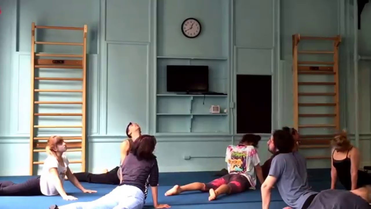 Let's Stretch: Seal Stretch - YouTube