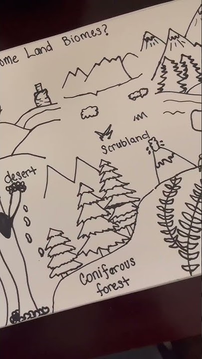 Classical Conversations cycle 2 - YouTube