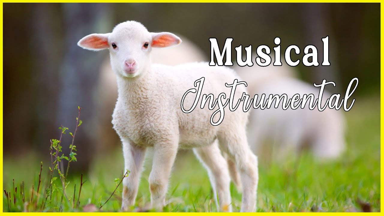 Musical Instrumental - Best Prayer Melodies || Catholic Hymn || Best ...