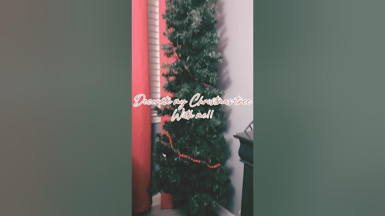 Decorate my Christmas tree with me!!! Merry Christmas! 🎄 #christmas # ...