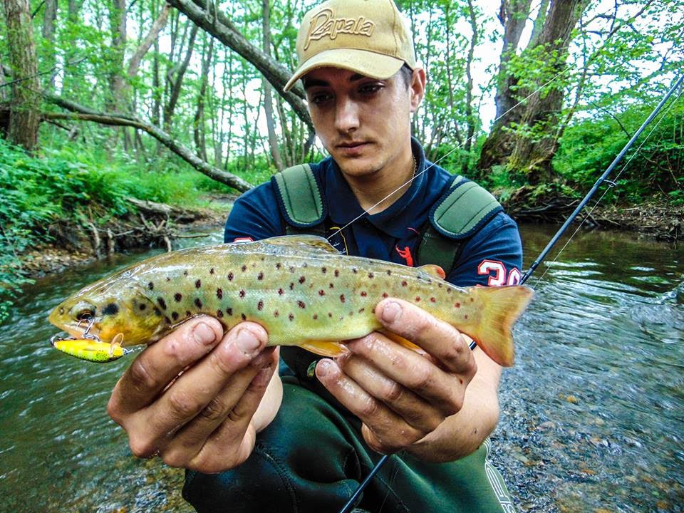 Blue Fox Super Vibrax & blow big brown trout / Udarac potocne pastrmke ...