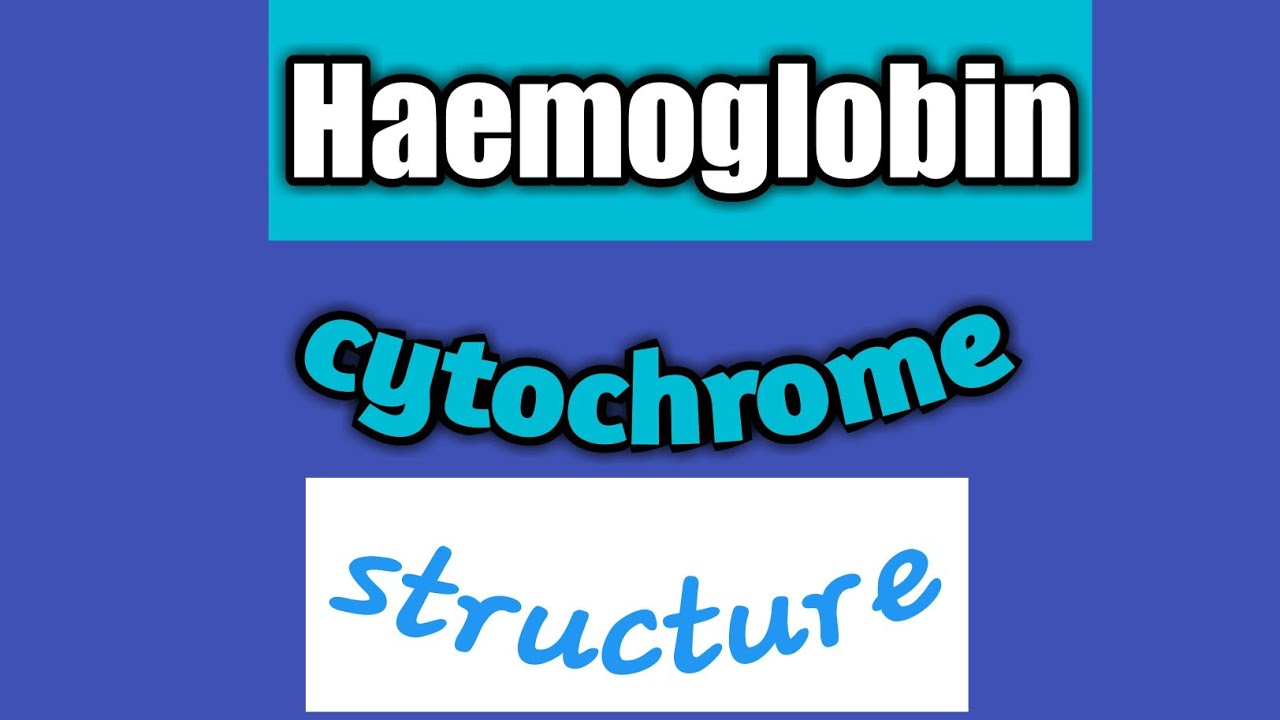 draw haemoglobin and cytochrome - YouTube
