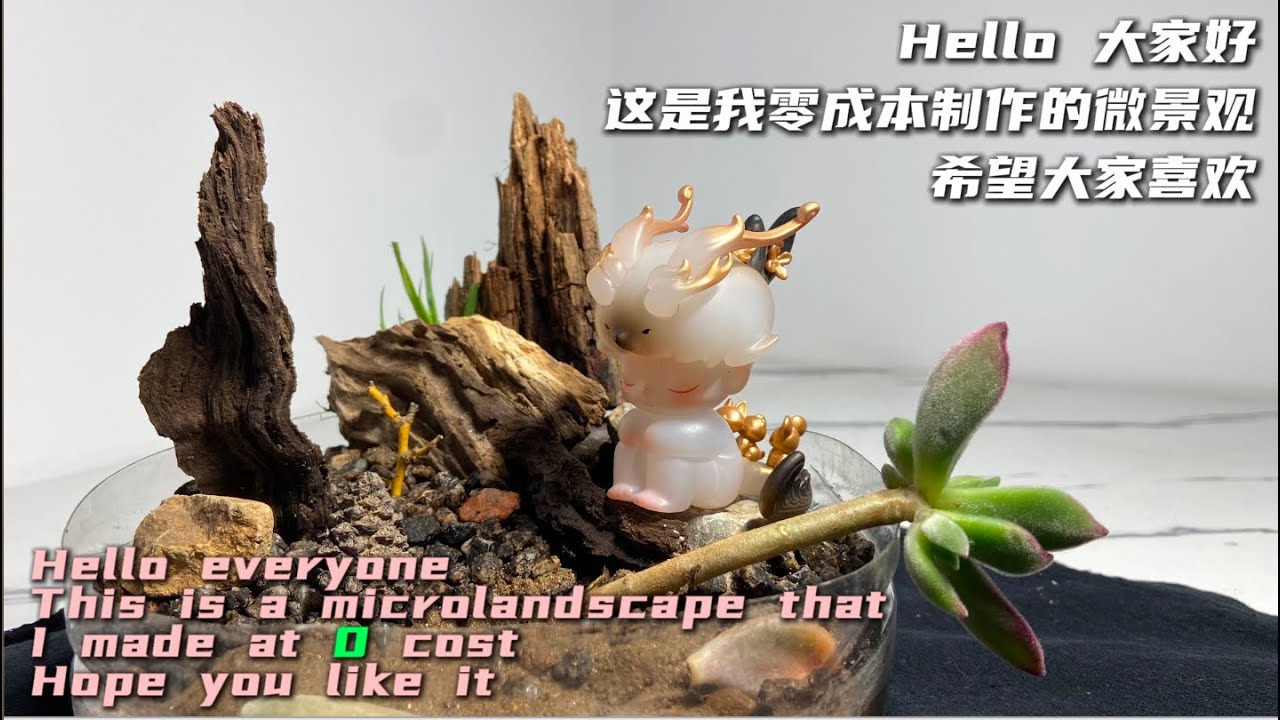 零成本微景观制作。Zero cost micro landscape production. - YouTube