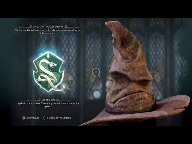 Harry Potter Sorting Hat Scene