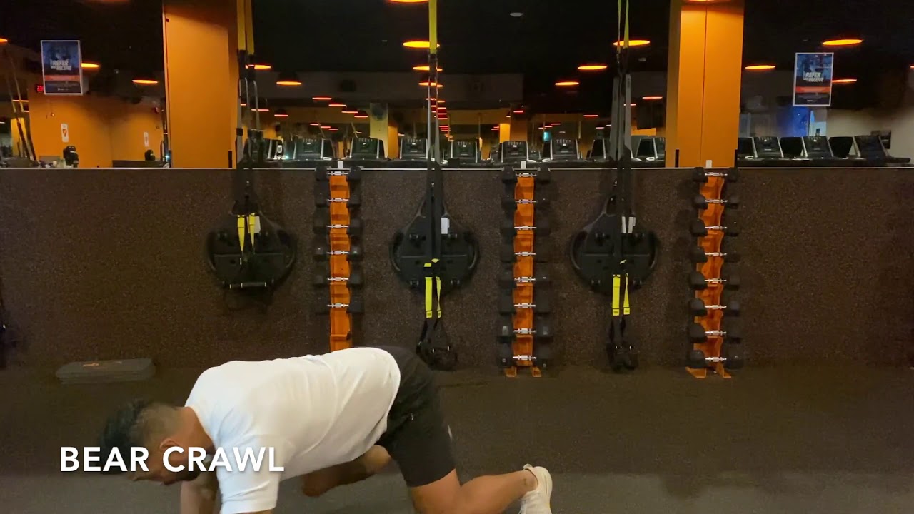 BEAR CRAWLS - YouTube