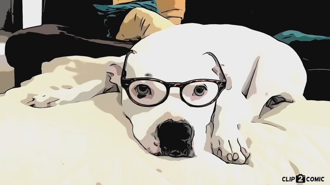 Carlos Murguia El Perro Sam (2021) - YouTube