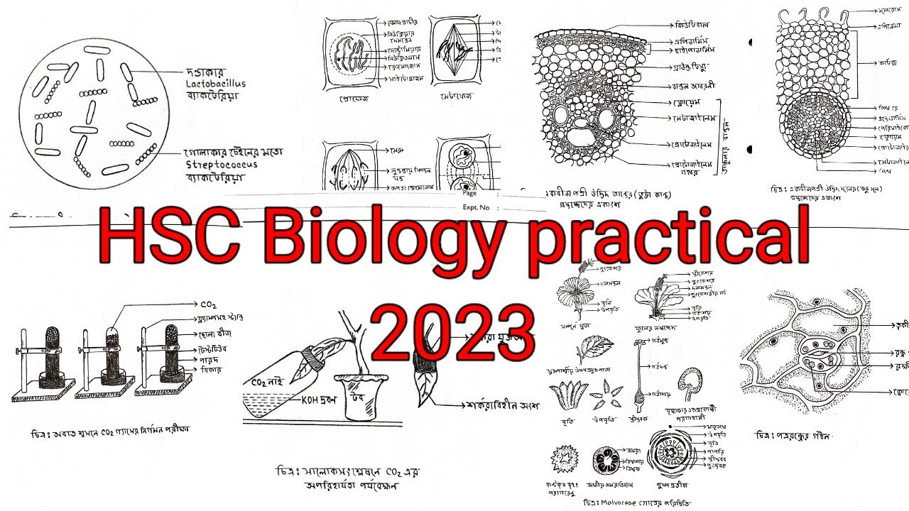 HSC 2023 biology practical || HSC practical || এইচএসসি জীববিজ্ঞান ...