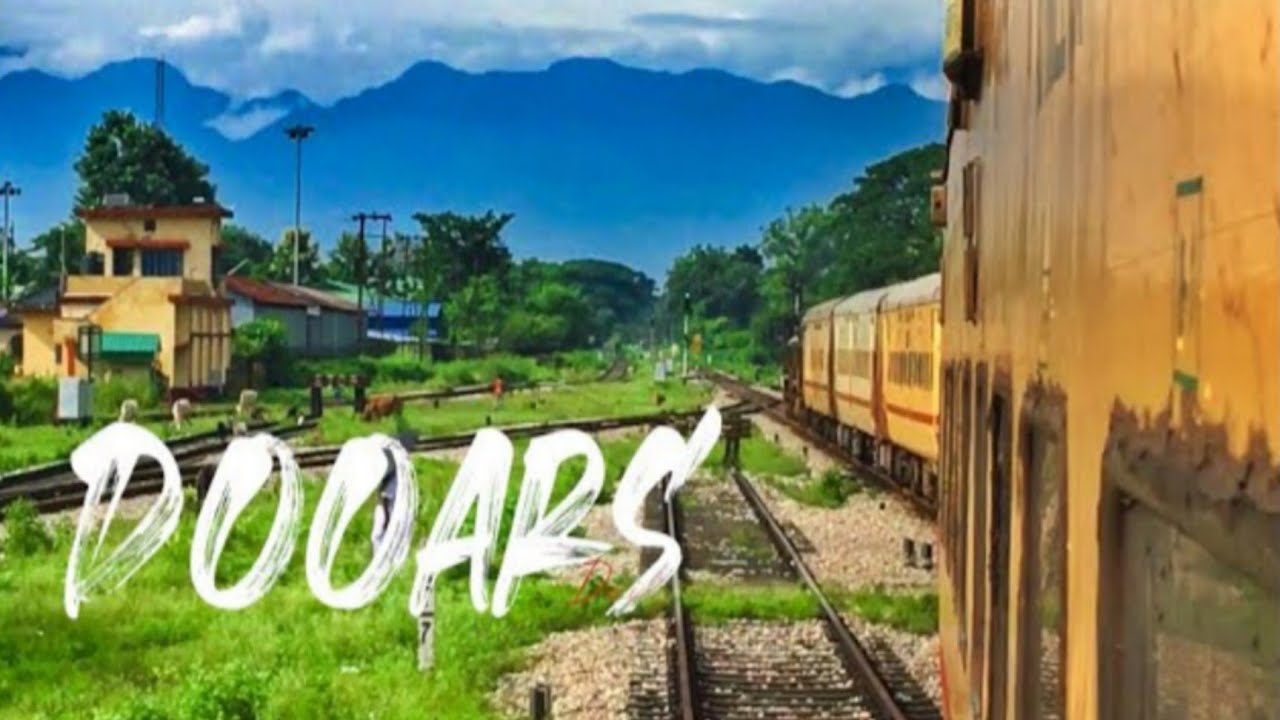 Trip To Dooars | Dooars Vlog | Winter trip || Wonder Tinni Vlogs - YouTube