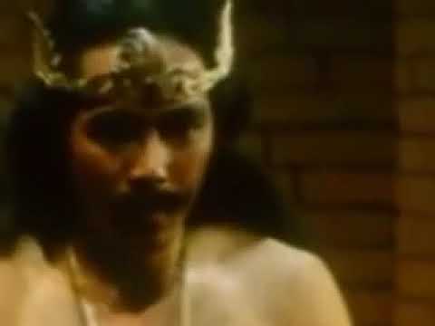 Angling dharma (belibis putih)