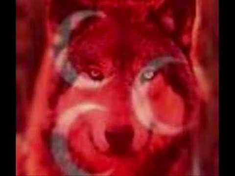 Mustafa Yıldızdoğan - Türkiyem