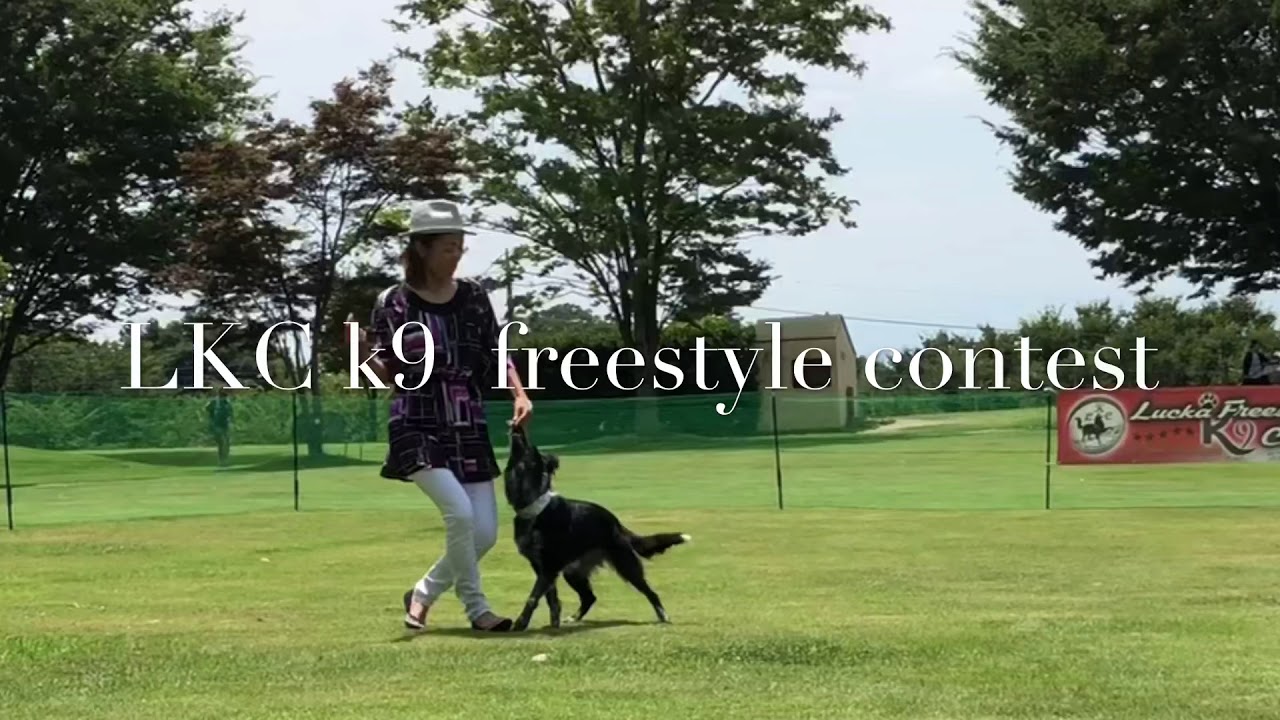 第8回LKC k9 freestyle contest ドッグダンス - YouTube