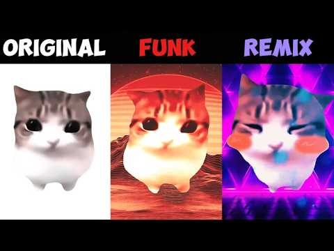 Dam Dam Didi Didi Cat Original vs Funk vs Remix