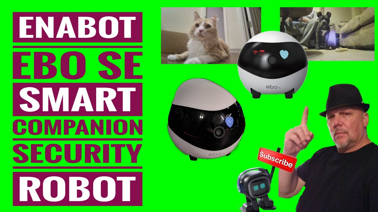 EBO SE Robot by Enabot Your Smart Companion Security Roaming Durable ...