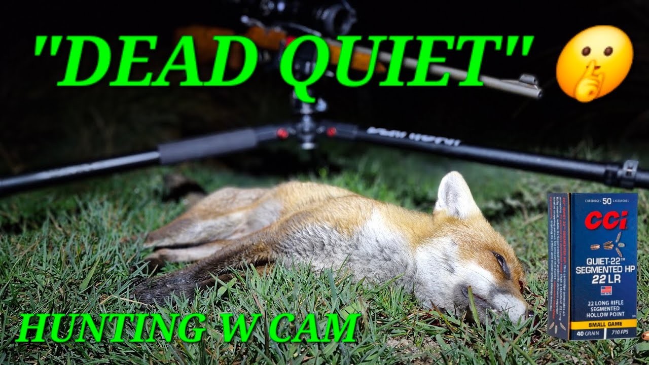 DEAD QUIET || Hunting with Good Cam Hunting || INFIRAY TUBE TH50 V2 ...