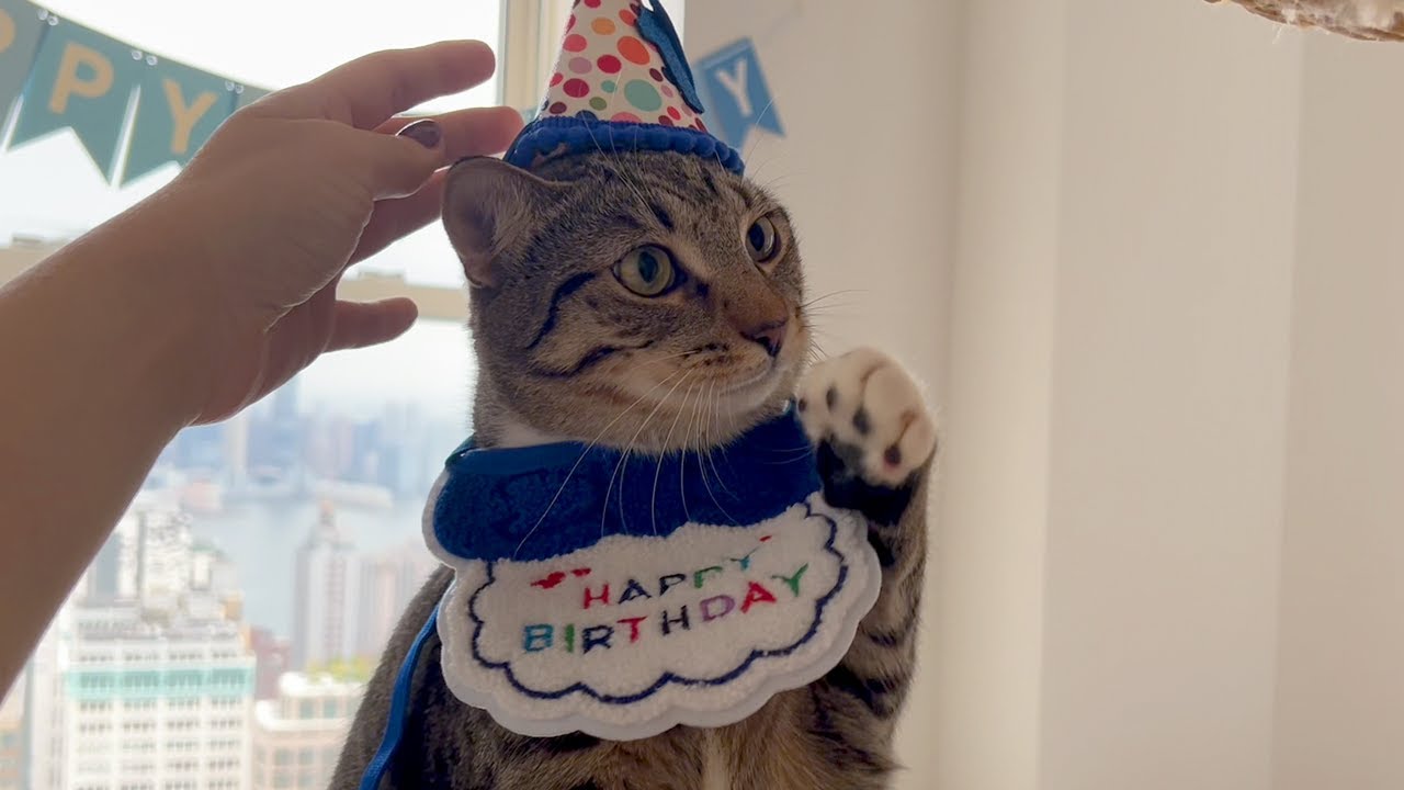 We turned 1 today 🎉 - YouTube