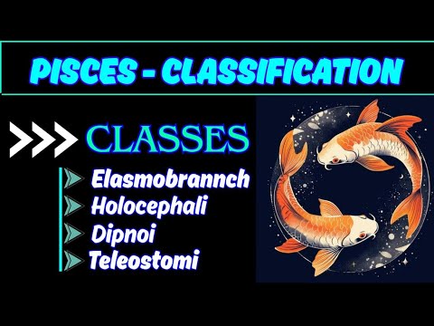 Fish classification | Characteristics | Detailed Lecture | BSc | MSc ...