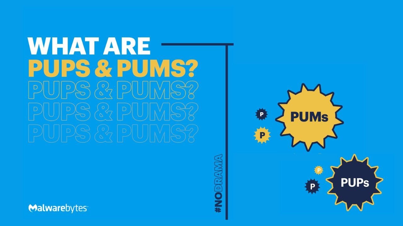 What Are PUPs And PUMs What s The Difference Potentially Unwanted what-are-pups-and-pums-what-s-the-difference-potentially-unwanted