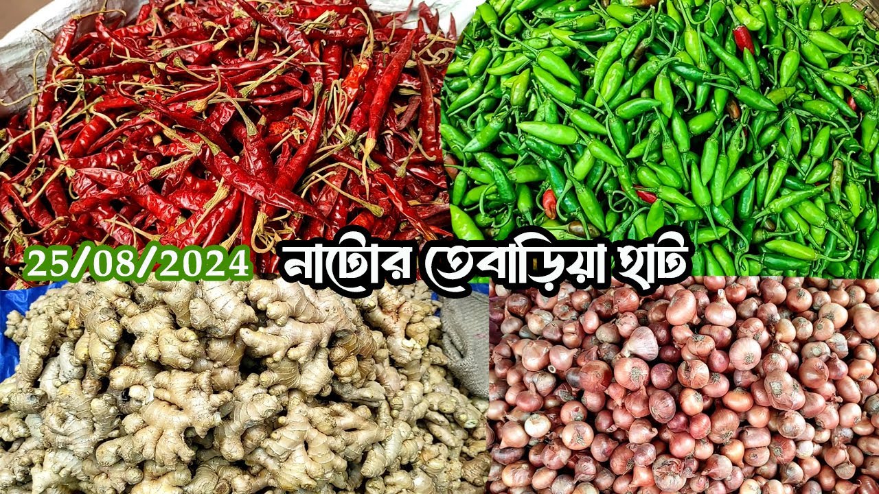 কাঁচা মরিচ শুকনা মরিচ আদা ও রসুন পেঁয়াজের আজকের দাম জানুন নাটোর