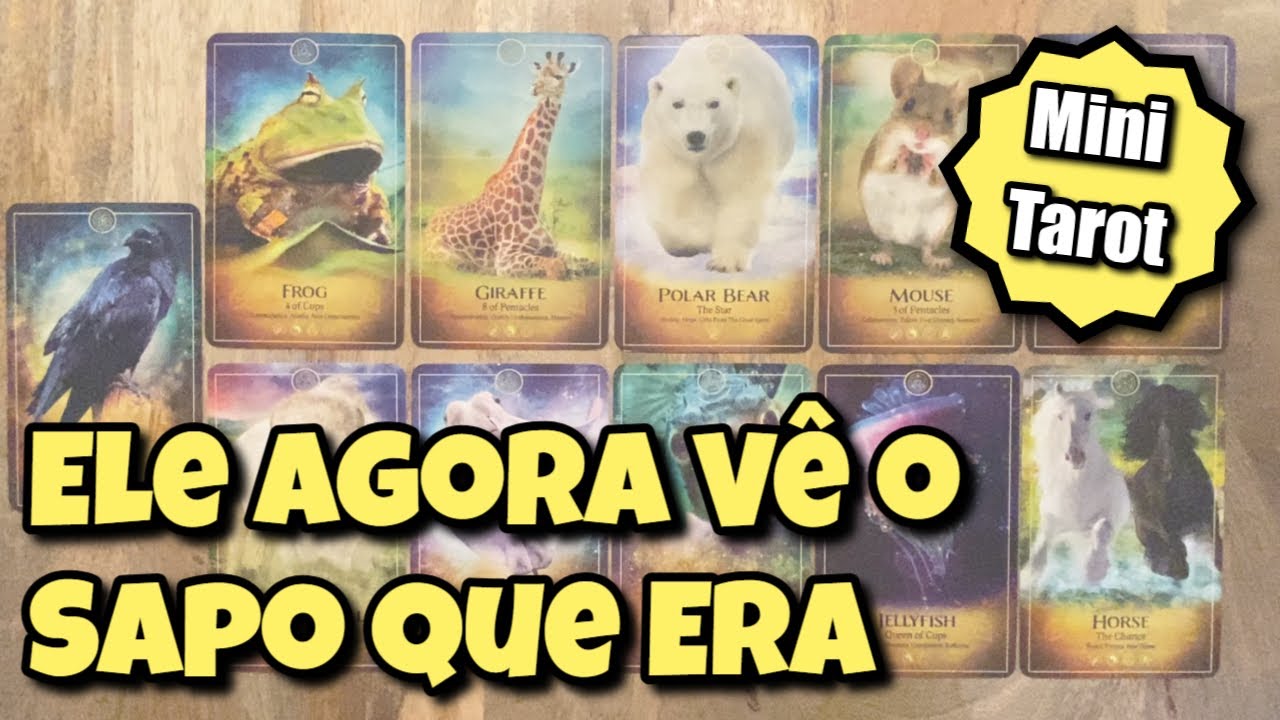 Ele Agora Vê o Sapo Que Era 💗 Mini Tarot Oráculos - YouTube
