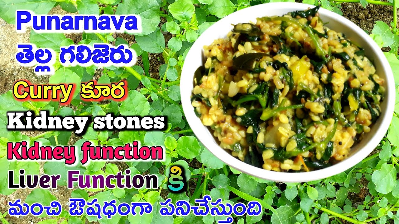 TELLA GALIJERU KURA PUNARNAVA CURRY USES IN TELUGU | PUNARNAVA PLANT ...