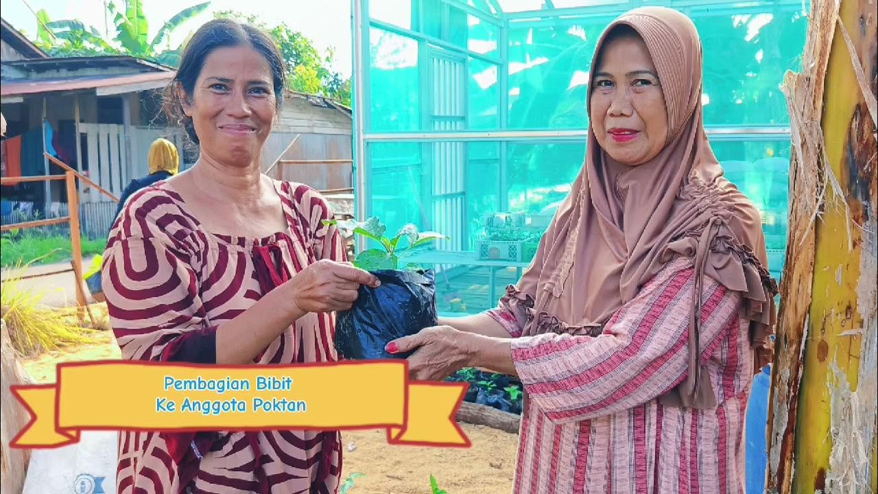 KEGIATAN P2L POKTAN A.YANI TUJUH BELAS - YouTube