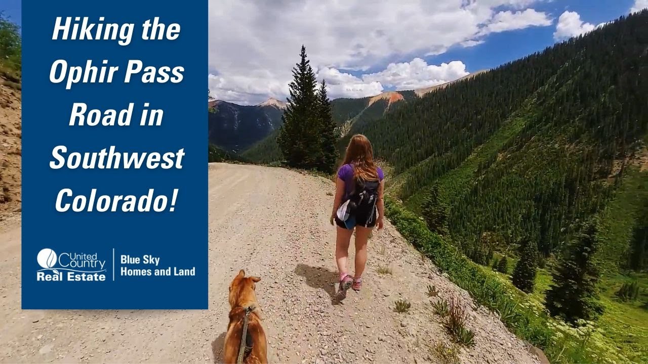 Climbing up the Ophir Pass Road - Living in Southwest Colorado! - YouTube