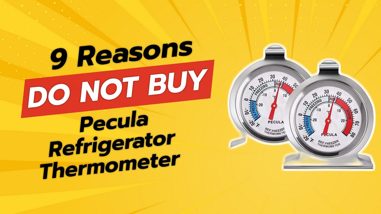 DON'T BUY Pecula Refrigerator Thermometer Before WATCHING THIS VIDEO! 🚫 ...