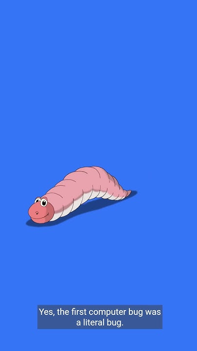 Moth in the Machine: The Hilarious (and True!) Story of the First Computer Bug - YouTube