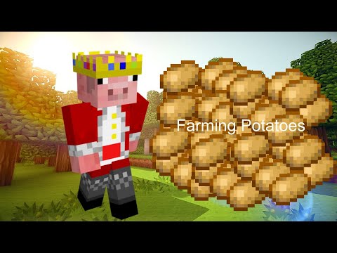 Farming potatoes (in honor of technoblade) - YouTube
