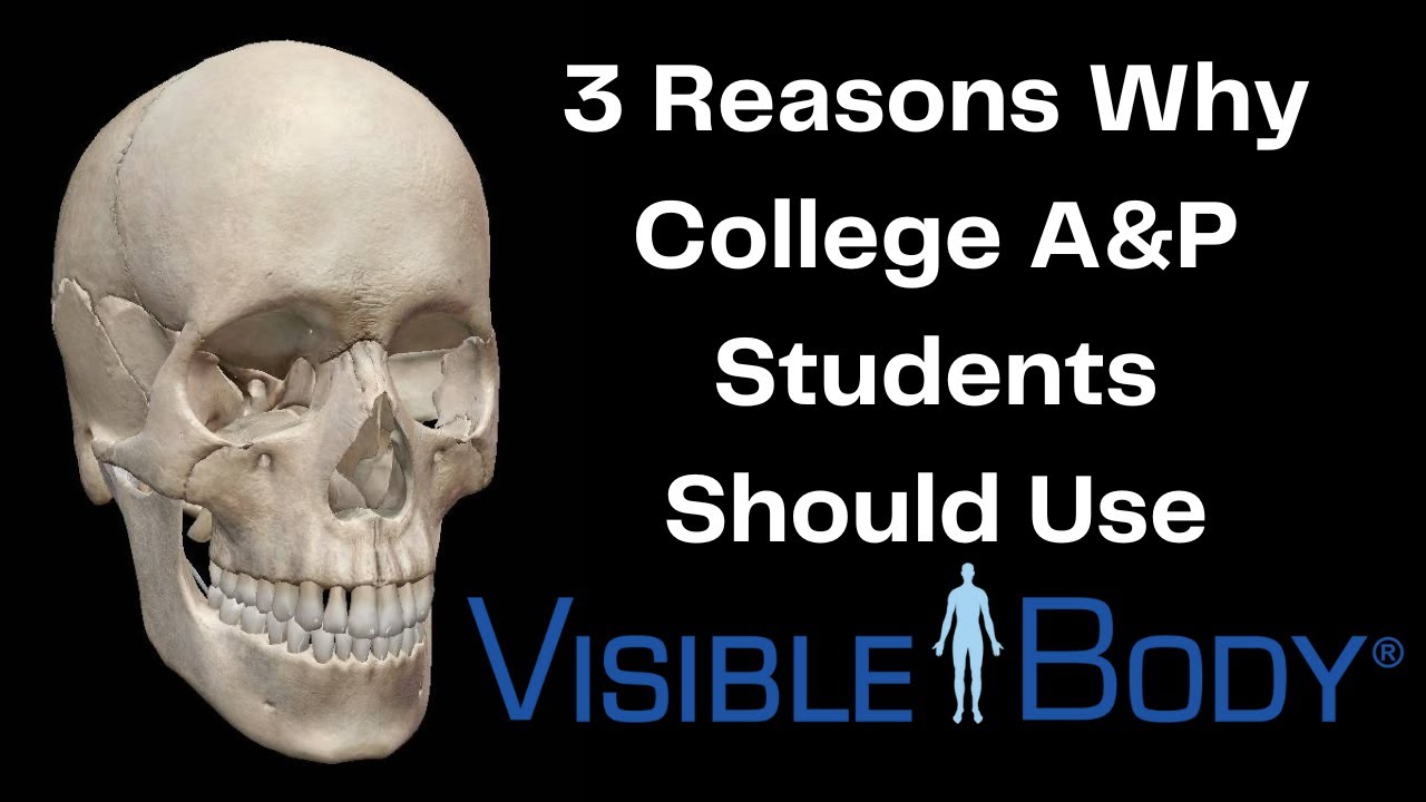 3 Reasons College A&P Students Should Use Visible Body - YouTube