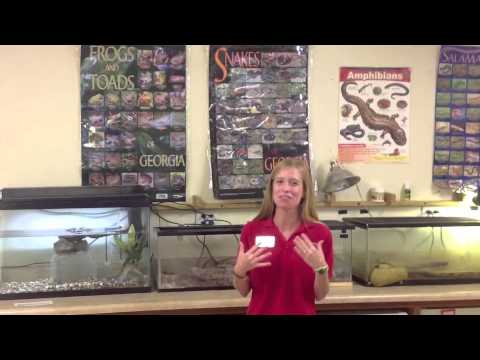 Environmental Education Program-Fortson 4-H Center - YouTube