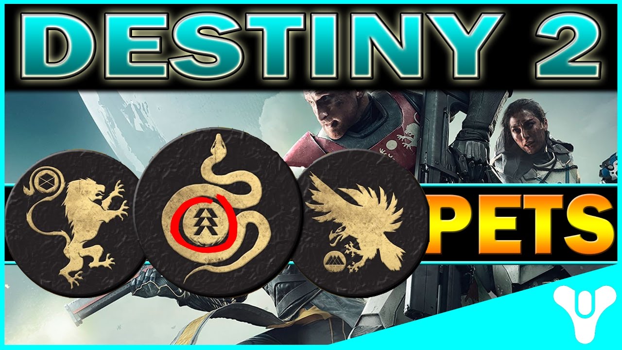 Destiny 2 | LEAKED SUBCLASSES!!! Major Leak Developement - WE GET PETS ...