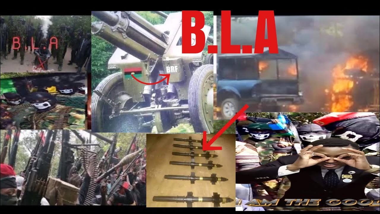 WOTOWOTO : BIAFRA LIBERATION OGBUNIGWE BATTALION WOTOWOTO ZOO ARMY AND ...