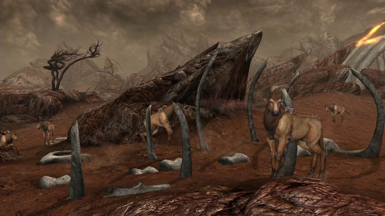 Buckzilla Trek3 Site3 Blue - YouTube