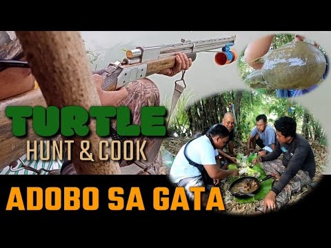 PART 2 SNAKE TURTLE HUNT & COOK CREAMY ADOBO SA GATA - YouTube