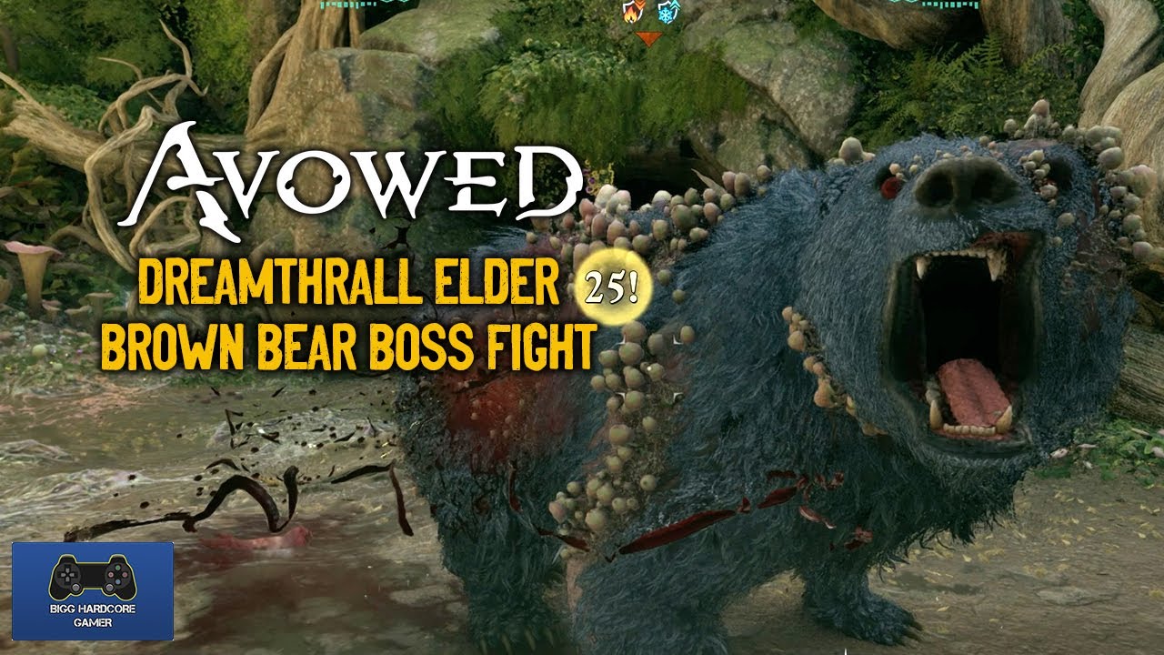 Avowed - Dreamthrall Elder Brown Bear Boss Fight - PC GamePass - YouTube